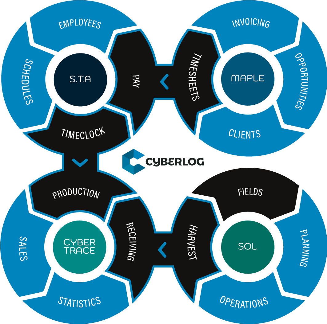 SOLUTIONS – Cyberlog